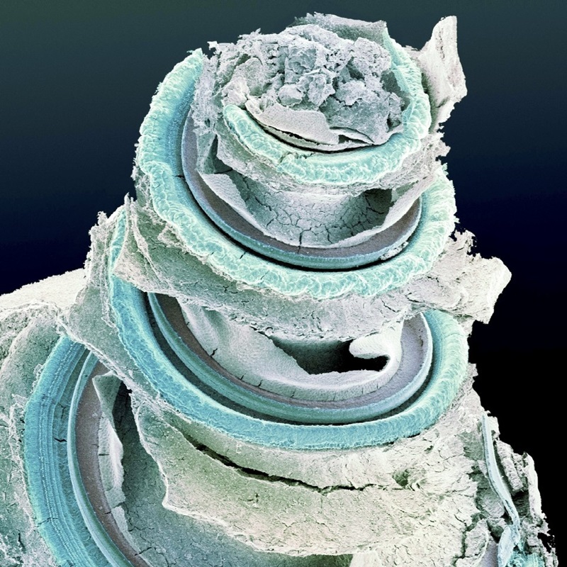 David Furness Wall Art & Canvas Prints | Great Big Canvas