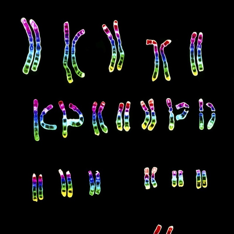 L. Willatt Wall Art & Canvas Prints | L. Willatt Panoramic Photos ...