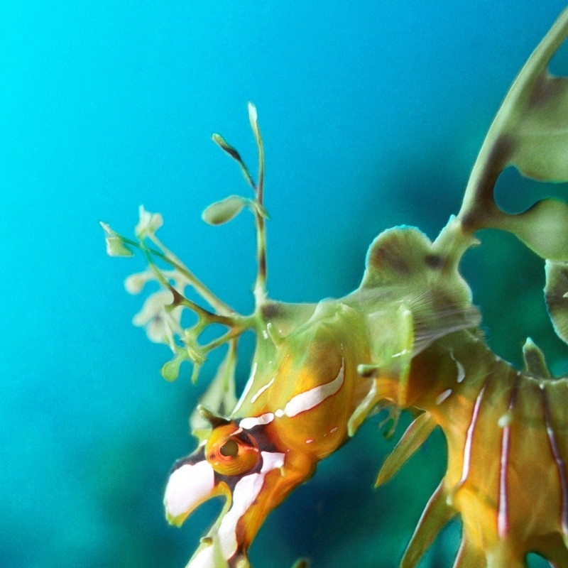 Peter Scoones Wall Art & Canvas Prints | Peter Scoones Panoramic Photos ...