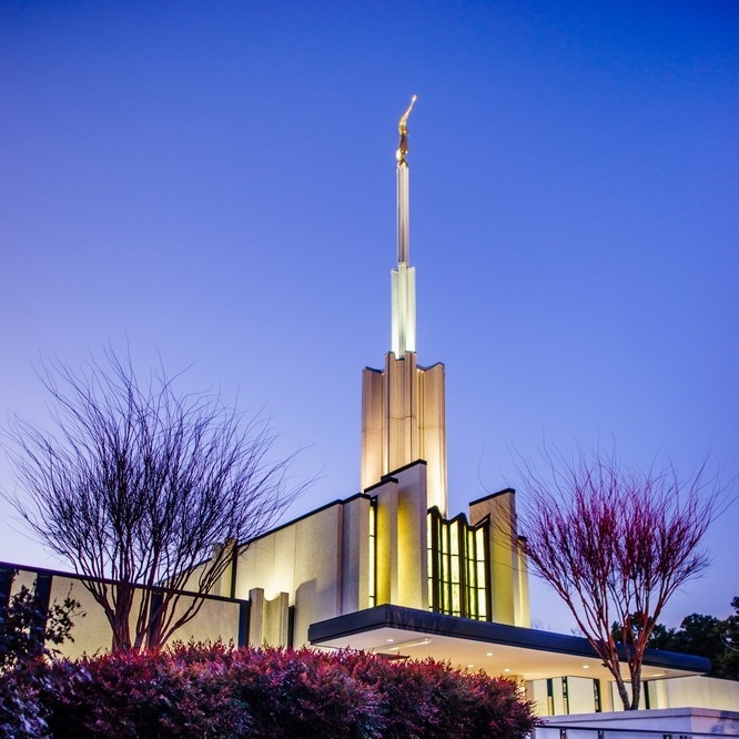 Atlanta Georgia Temple Wall Art & Canvas Prints | Great Big Canvas