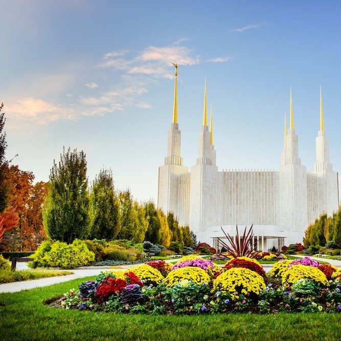 The LDS Temple Collection Wall Art & Canvas Prints | Great Big Canvas