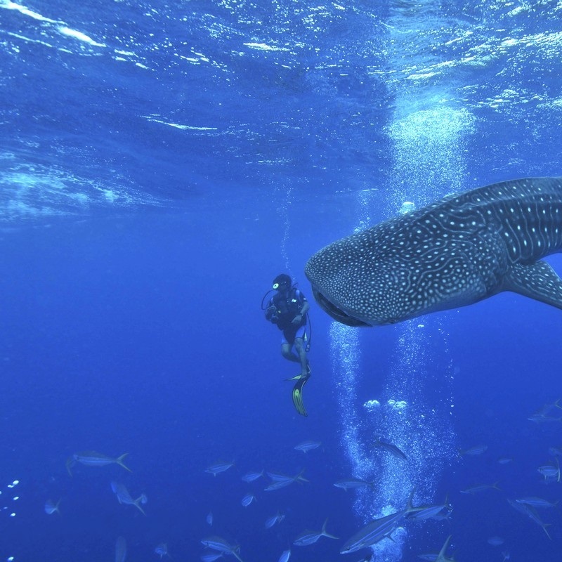 Mathieu Meur Wall Art & Canvas Prints | Great Big Canvas