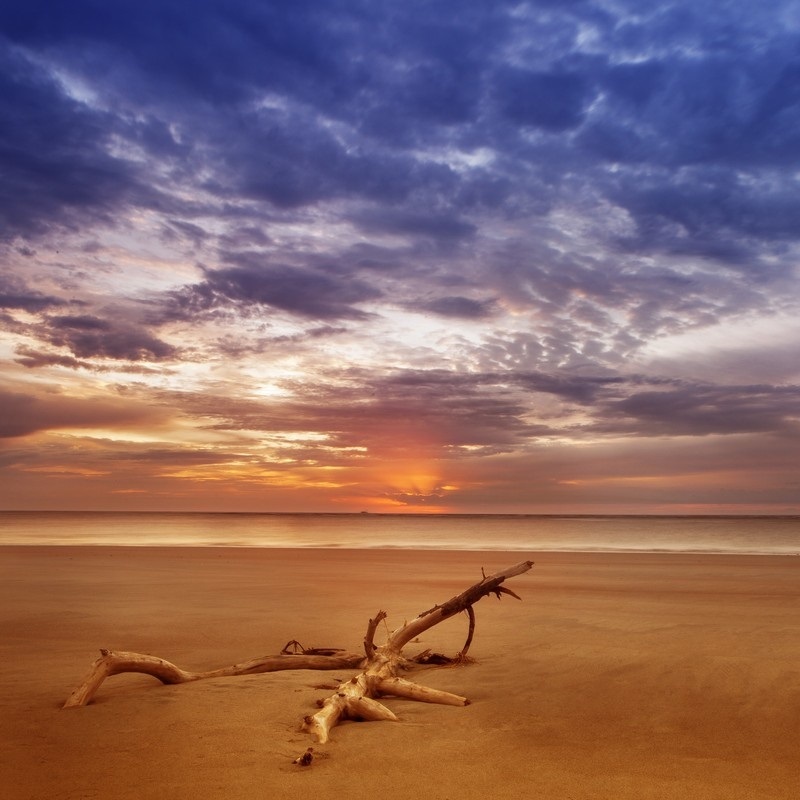 Aaron Matheson Wall Art & Canvas Prints | Great Big Canvas