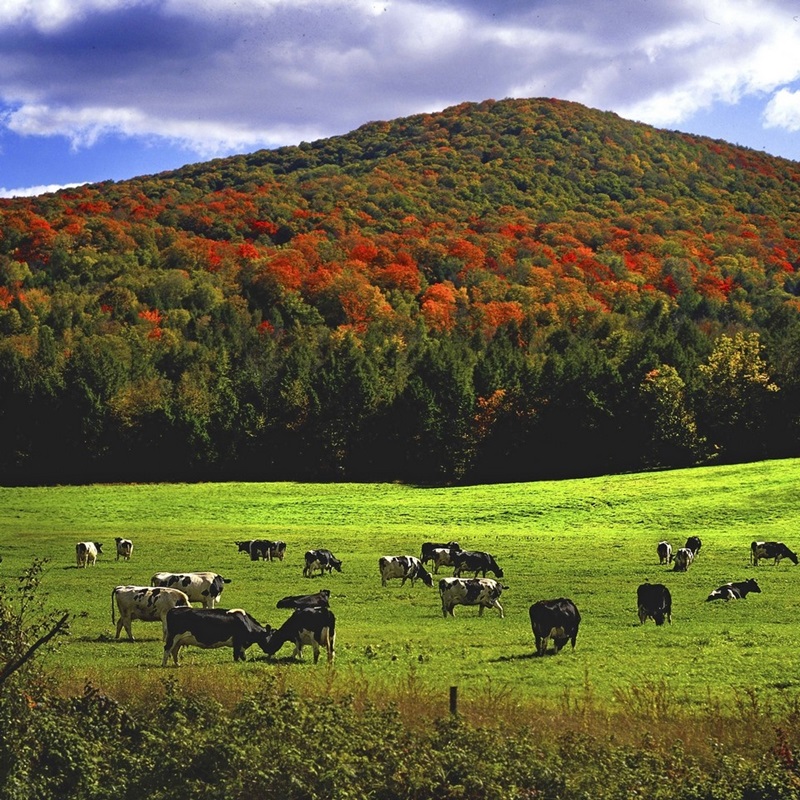 Vermont Wall Art & Canvas Prints | Vermont Panoramic Photos, Posters ...