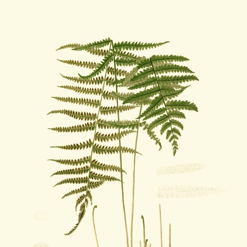 J. Emerton Wall Art & Canvas Prints | J. Emerton Panoramic Photos ...