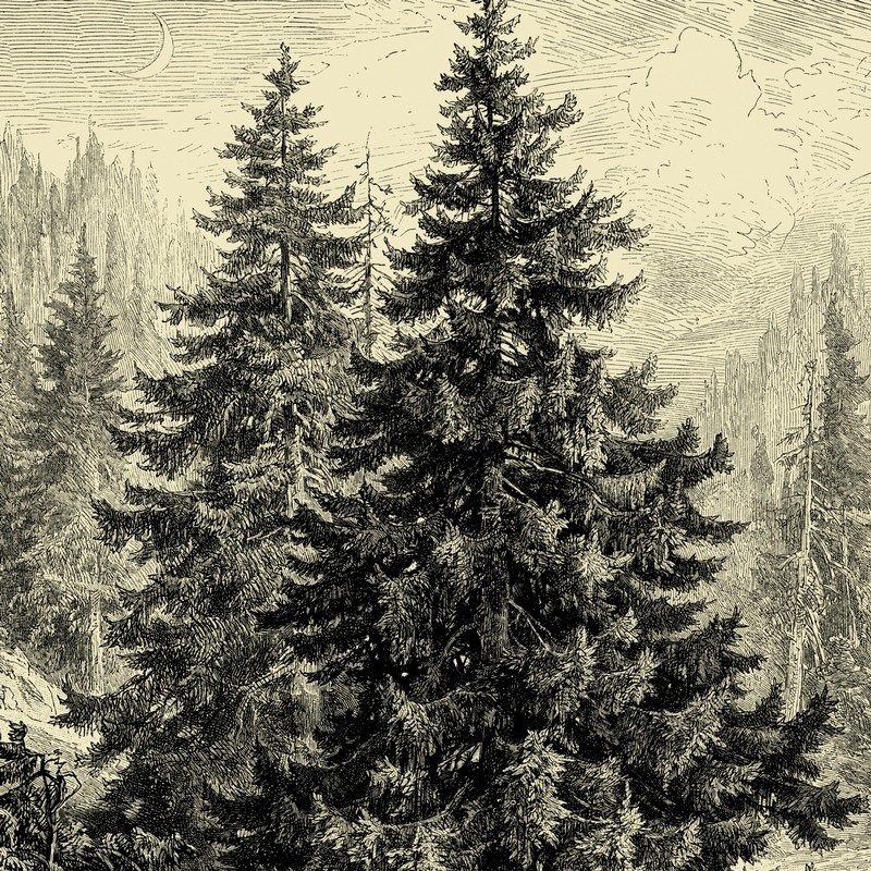 Ernst Heyn Wall Art & Canvas Prints | Great Big Canvas