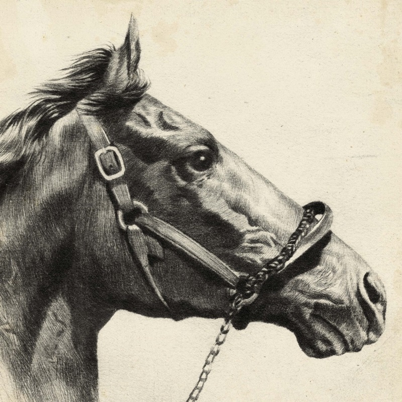 Rh Palenske Wall Art And Canvas Prints Great Big Canvas