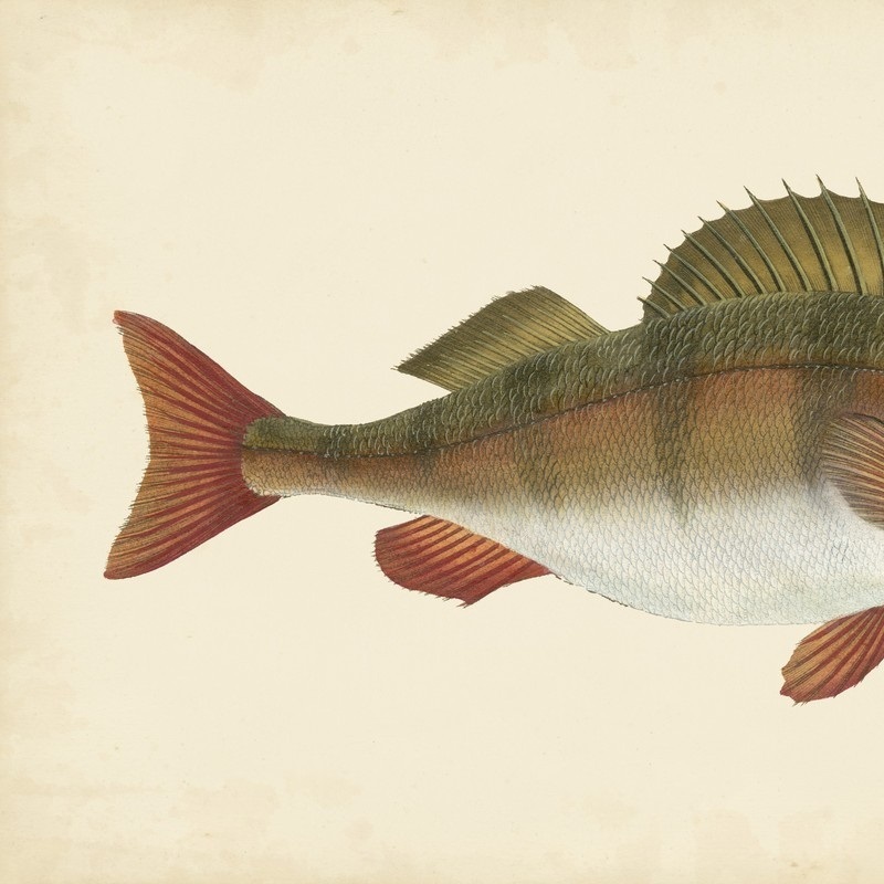 Donovan Art Wall Art & Canvas Prints | Donovan Art Panoramic Photos ...