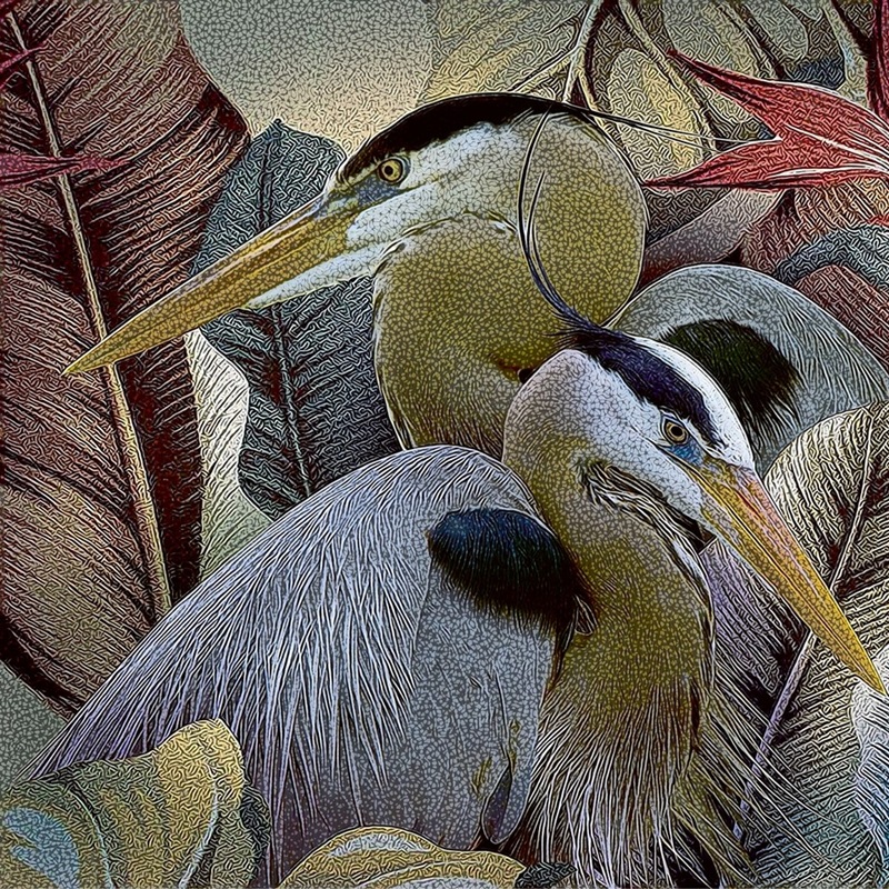 Steve Hunziker Wall Art & Canvas Prints | Great Big Canvas