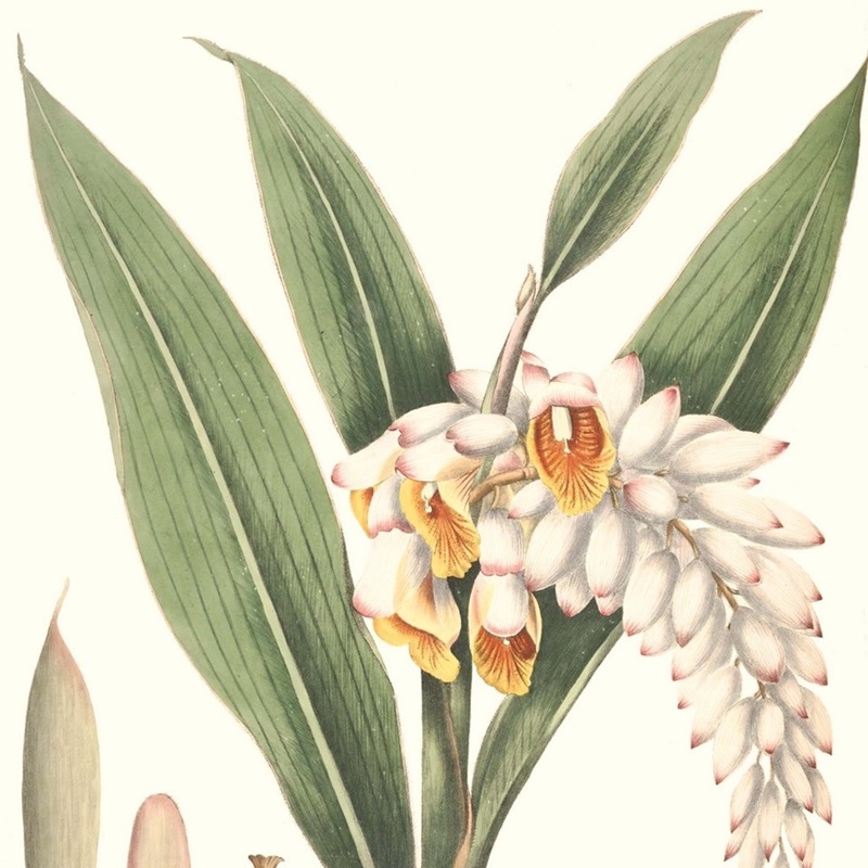 George Smith Wall Art & Canvas Prints | Great Big Canvas