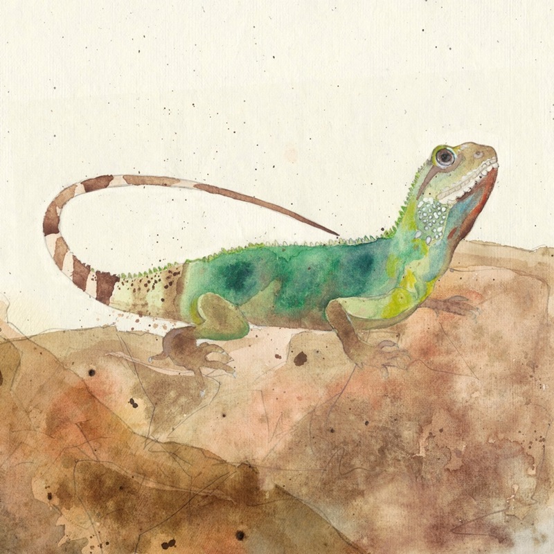 Reptile Wall Art & Canvas Prints | Reptile Panoramic Photos, Posters ...