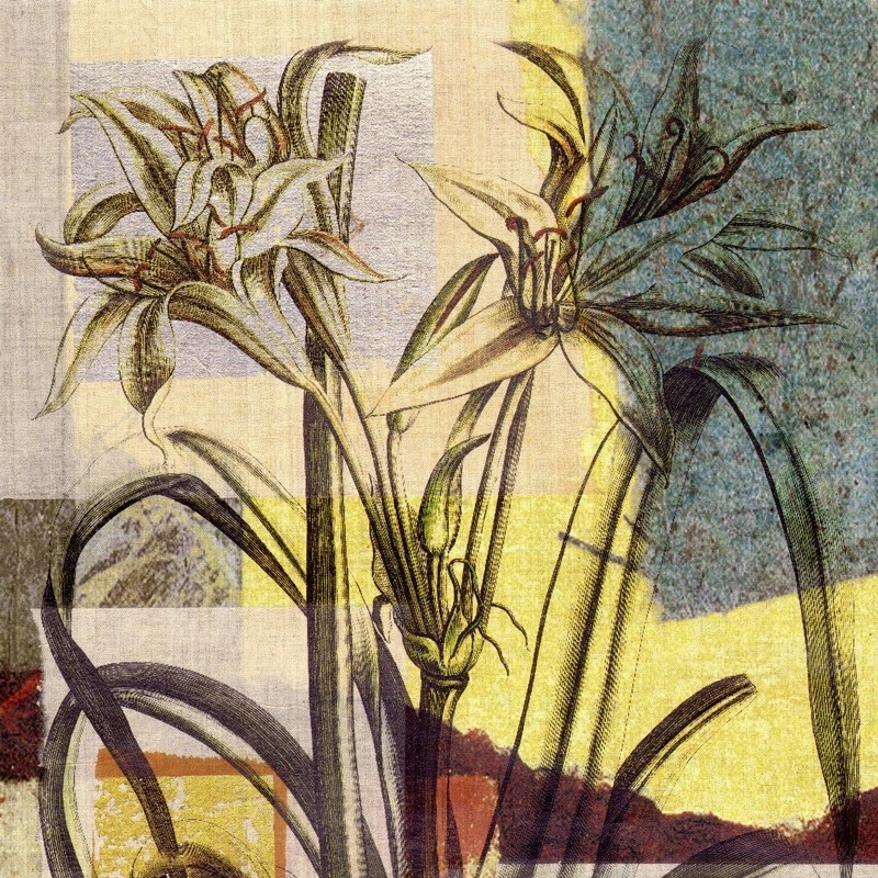 John Butler Wall Art & Canvas Prints | John Butler Panoramic Photos ...