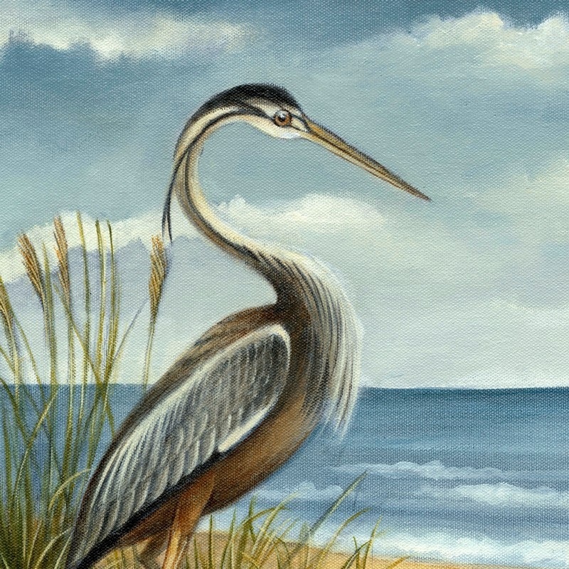 Shore Birds Wall Art & Canvas Prints | Shore Birds Panoramic Photos ...