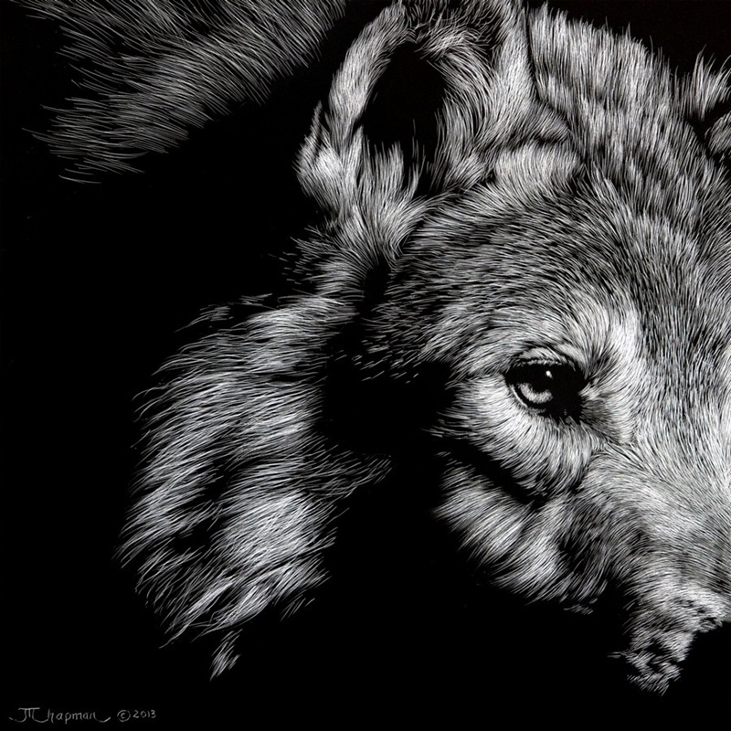 Wolf Art - Wolf Paintings & Wolf Prints | Great Big Canvas