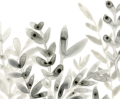 Big Wall Art | Canvas Prints | Abstract Art | Home Decor | Great Big Canvas